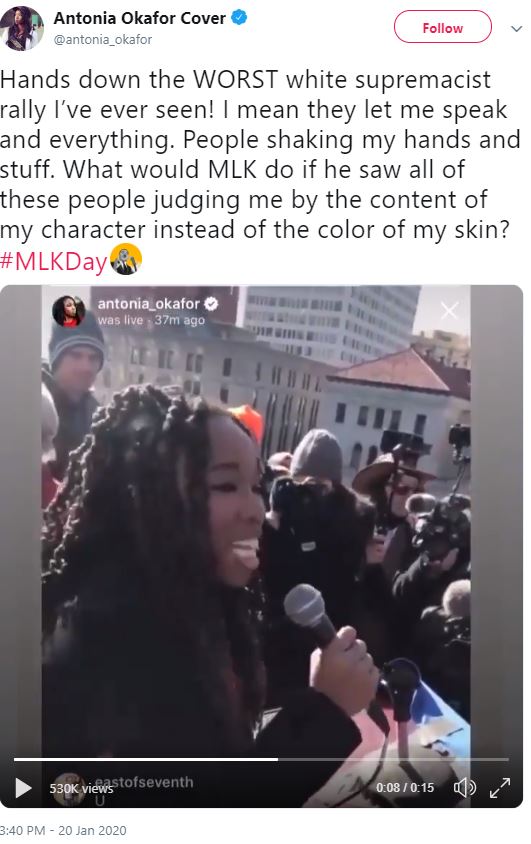 GUN RALLY IN VIRGINIA WAS THE REALIZATION OF MLK JR.’S DREAM, SAYS GUN ...