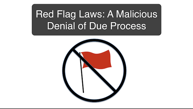 Bipartisan support for red flag laws wanes as GOP blocks bills | GOA