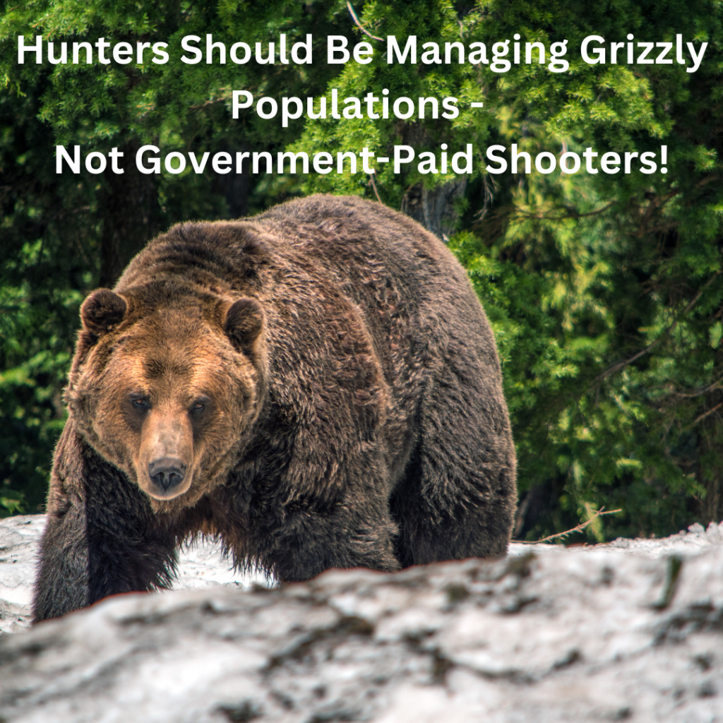 WY, MT, ID: Hageman Introduces Bill to Return Grizzly Bear Management ...